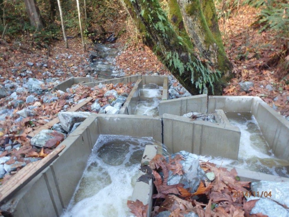 Fish Passage and Fish Habitat Restoration — ISL Engineering
